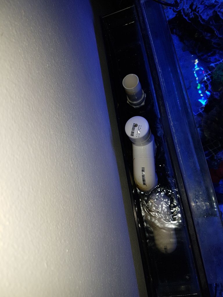 Internal or External Overflow Box? | Reef2Reef